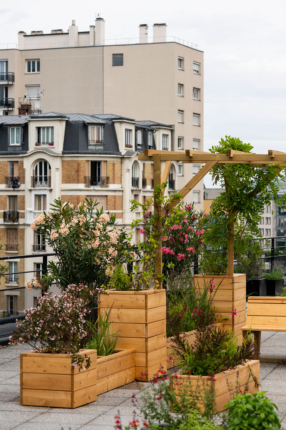 LE PACK | Un potager sur le toit